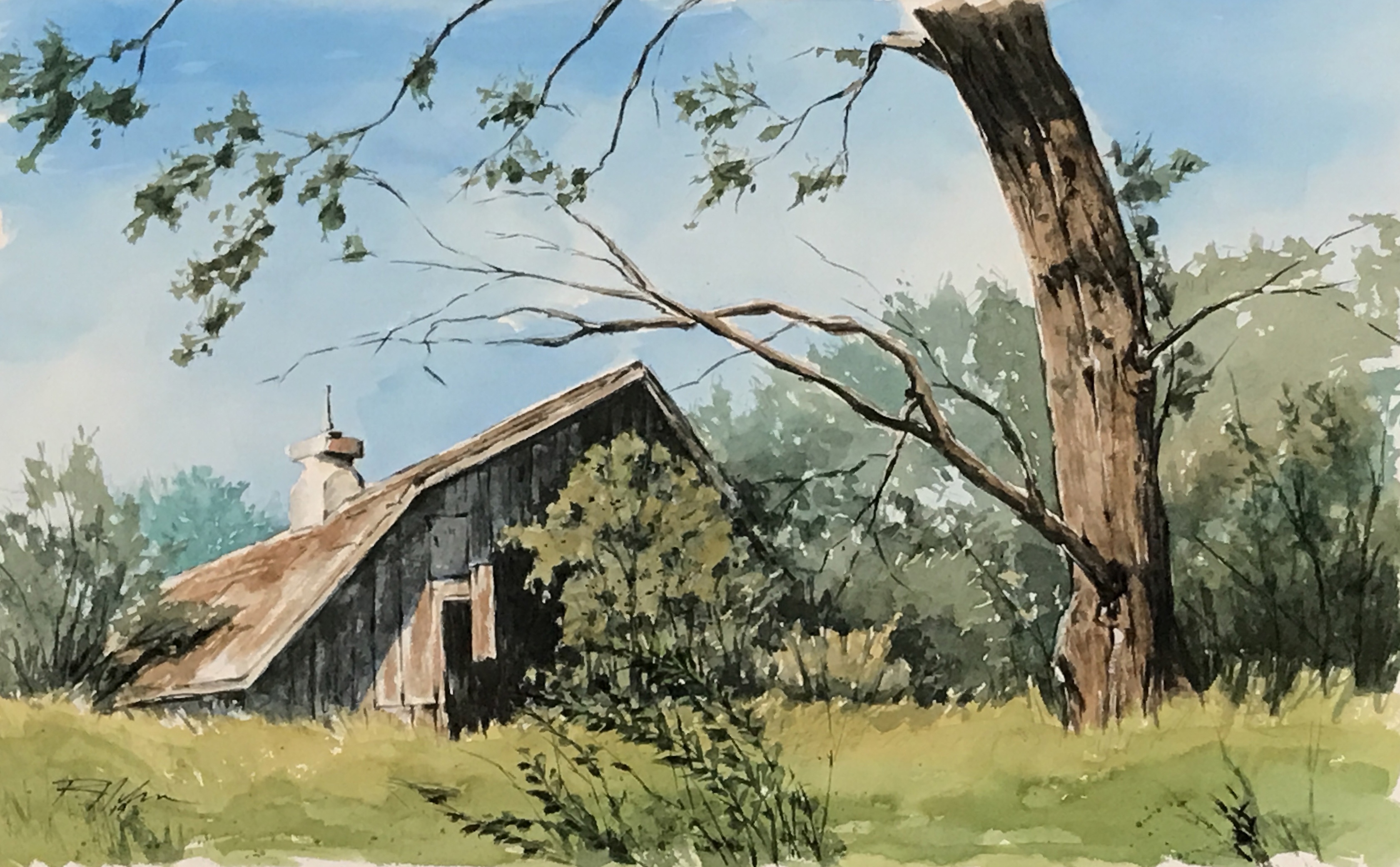 Landscapes – RUSTY NELSON