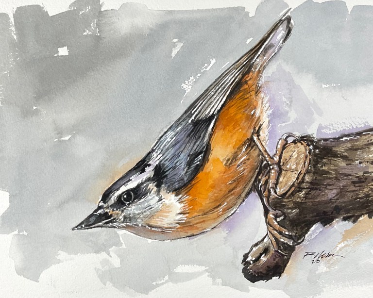 watercolor – RUSTY NELSON