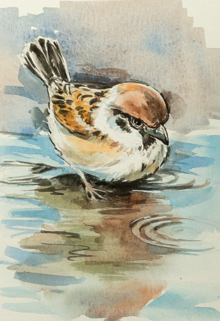 watercolor – RUSTY NELSON