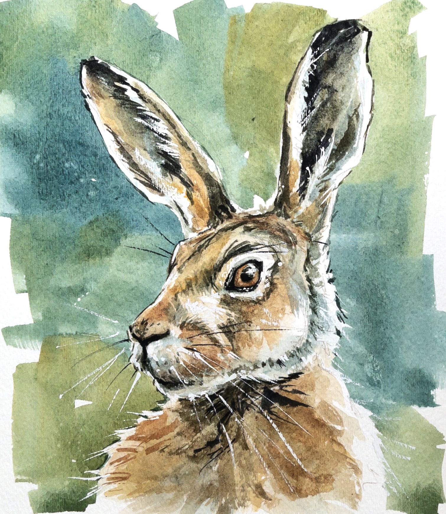 watercolor – RUSTY NELSON